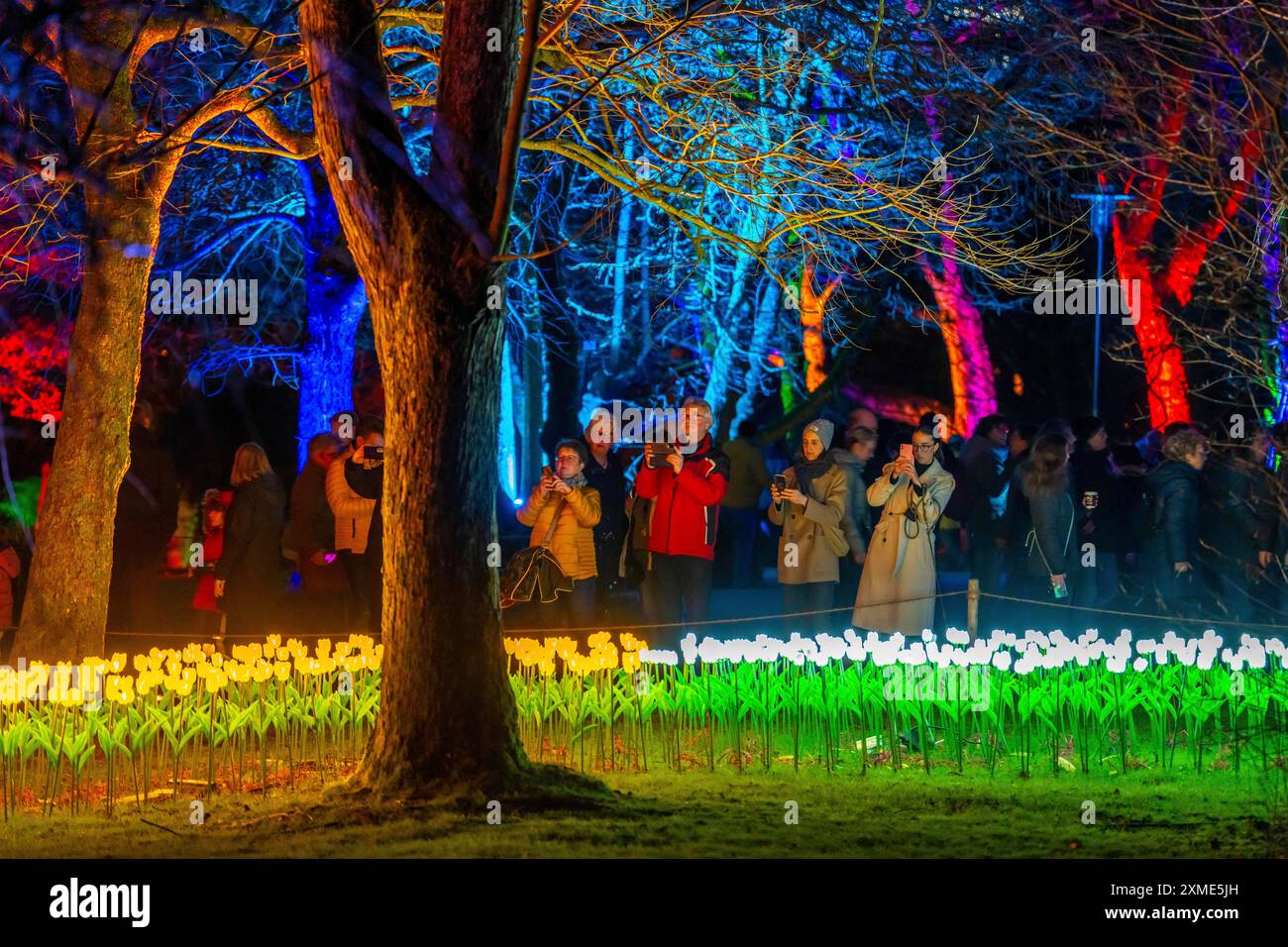 Parkleuchten, event in winter, in the Grugapark in Essen, many ...