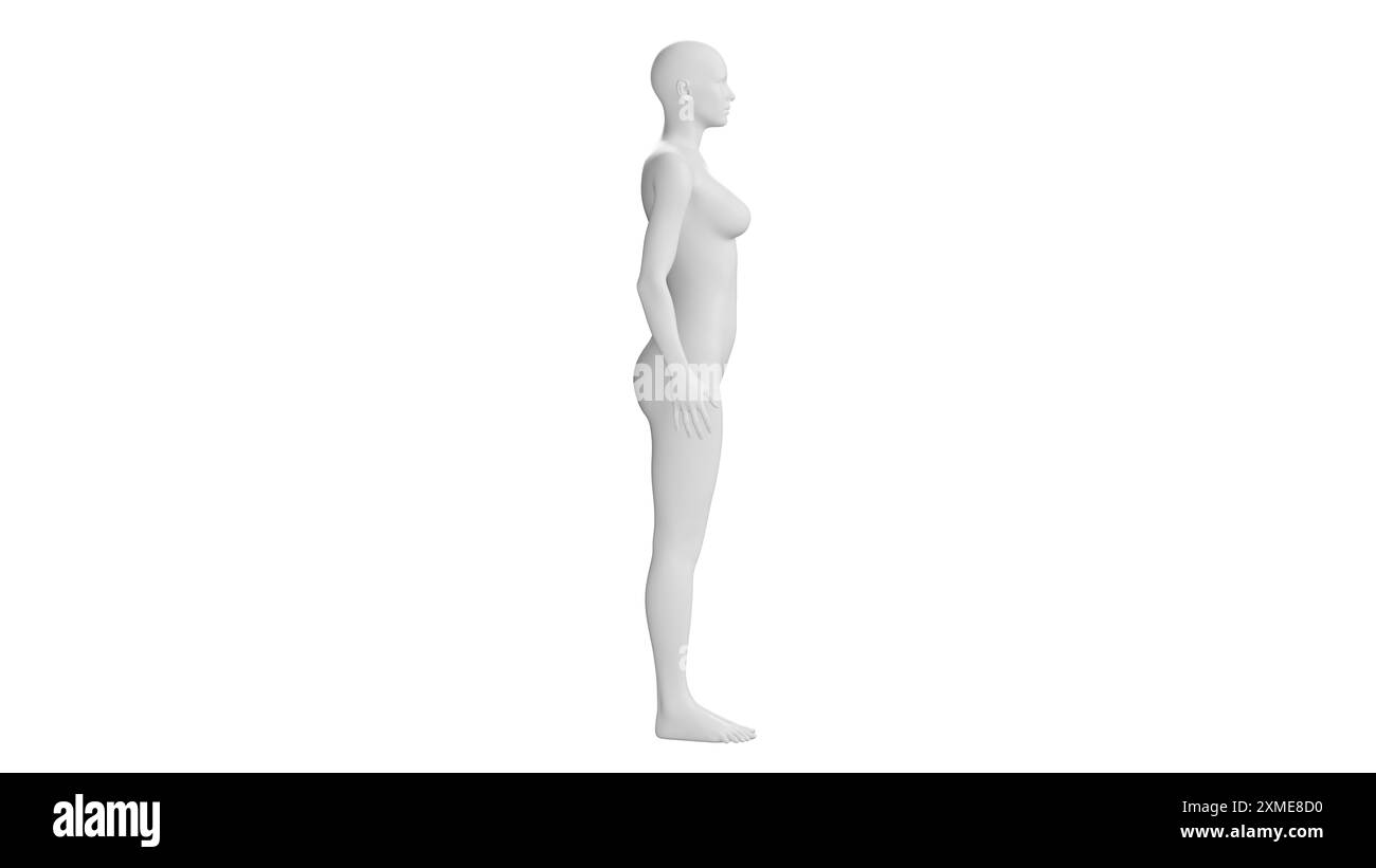 White Female Mannequin Standing Isolated on White Background. Side View ...