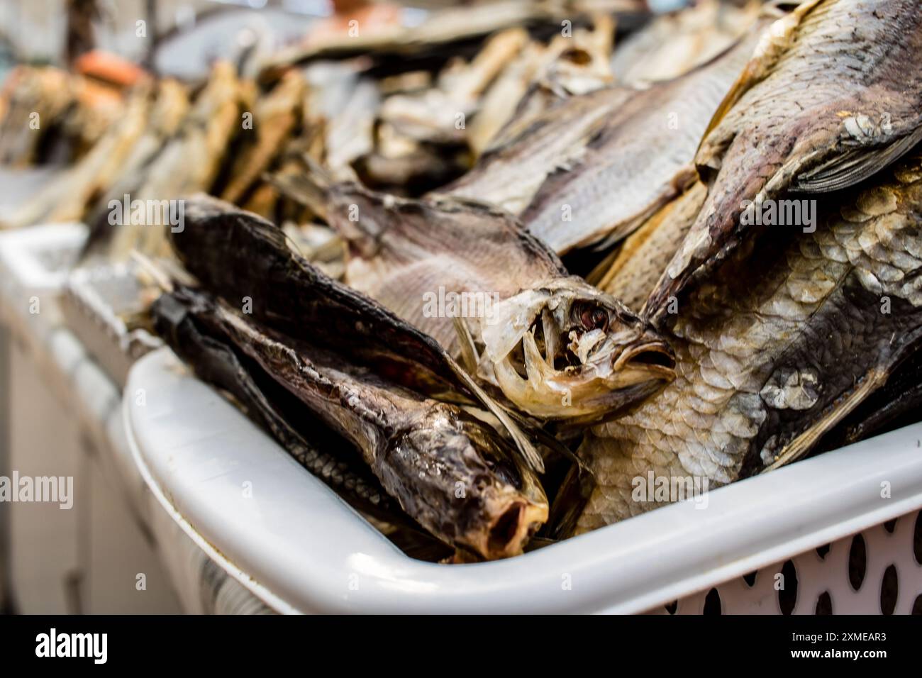 Odesa, Ukraine, July 27, 2024 Fishes and seafood sold at the famous ...