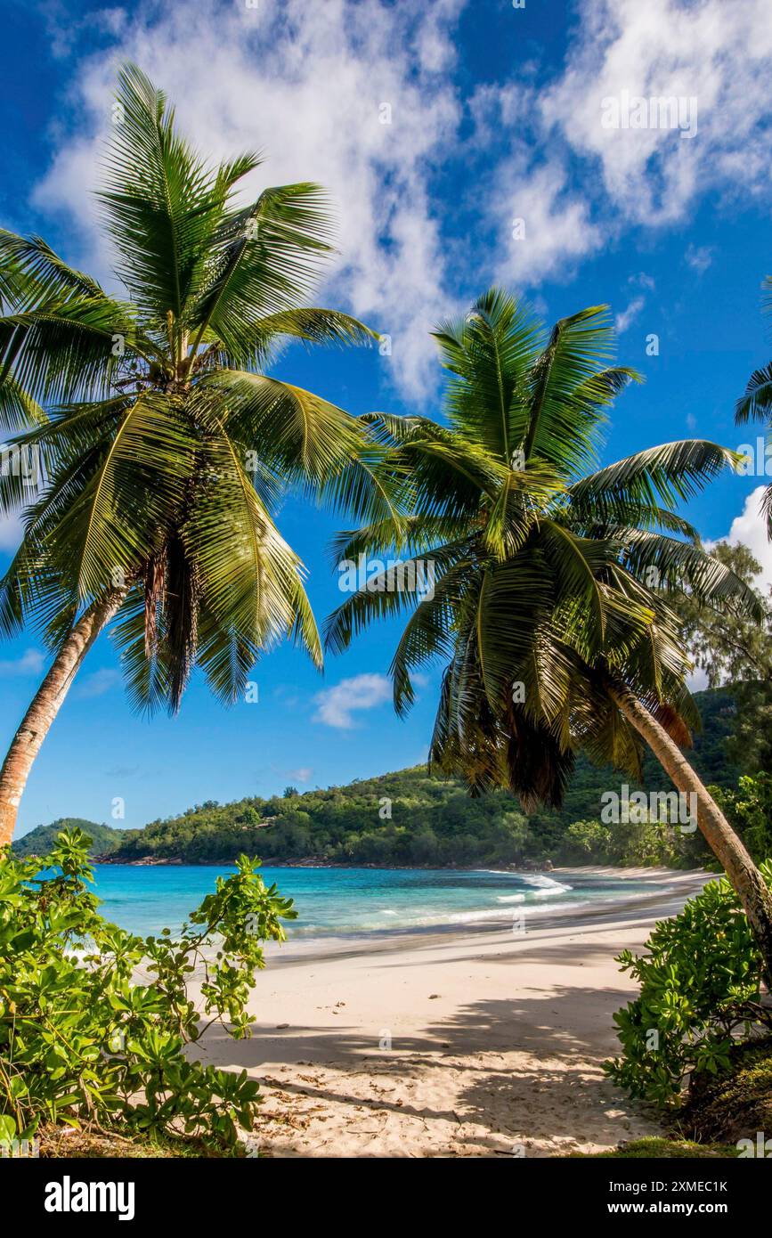 Petit Police Bay Beach, Mahe, Republic of Seychelles, Indian Ocean ...