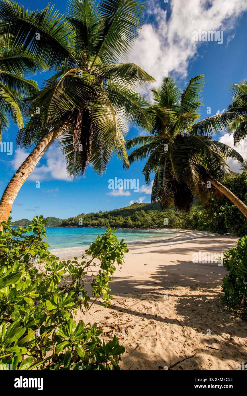 Petit Police Bay Beach, Mahe, Republic of Seychelles, Indian Ocean ...