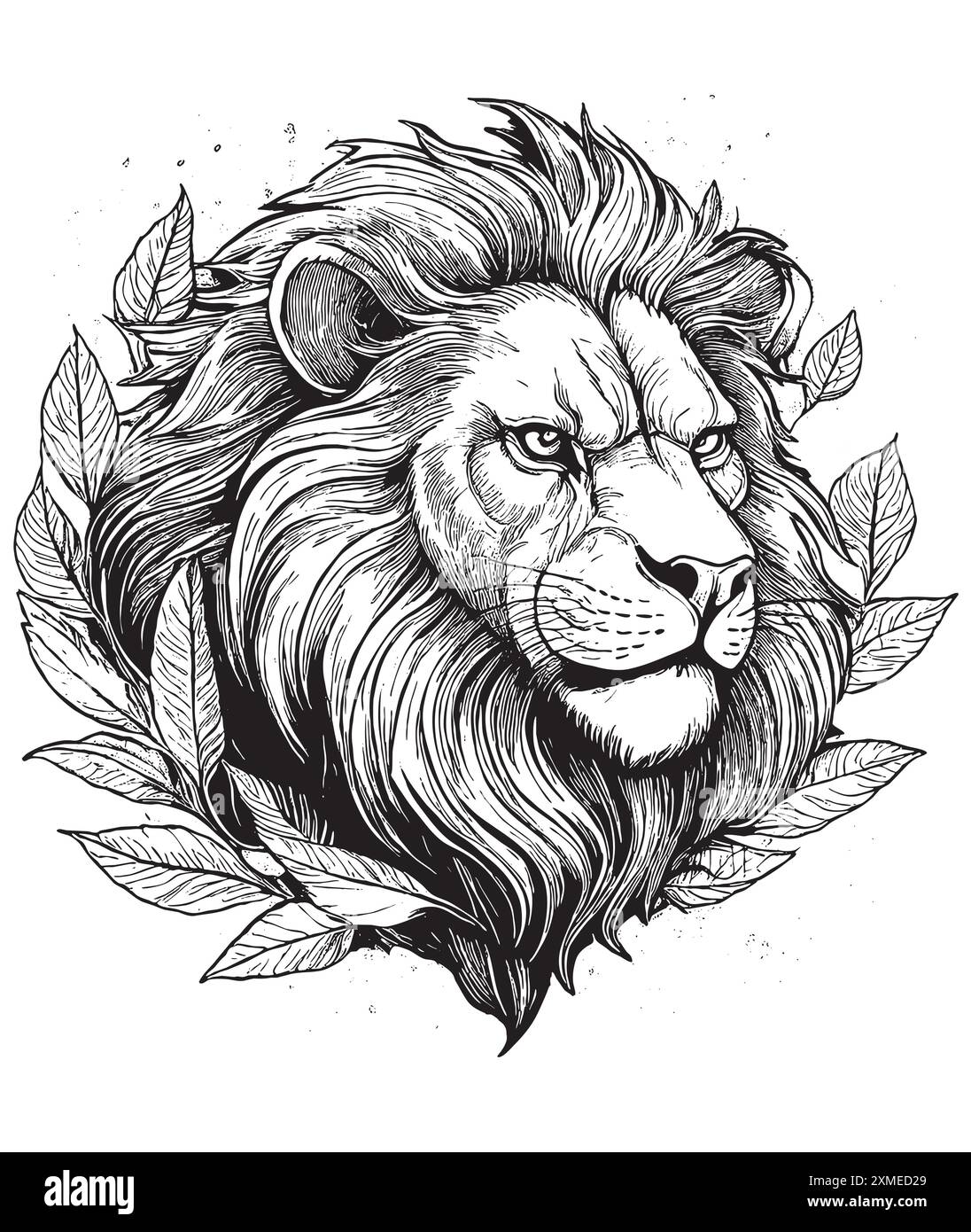 Lion vector drawing hi-res stock photography and images - Alamy