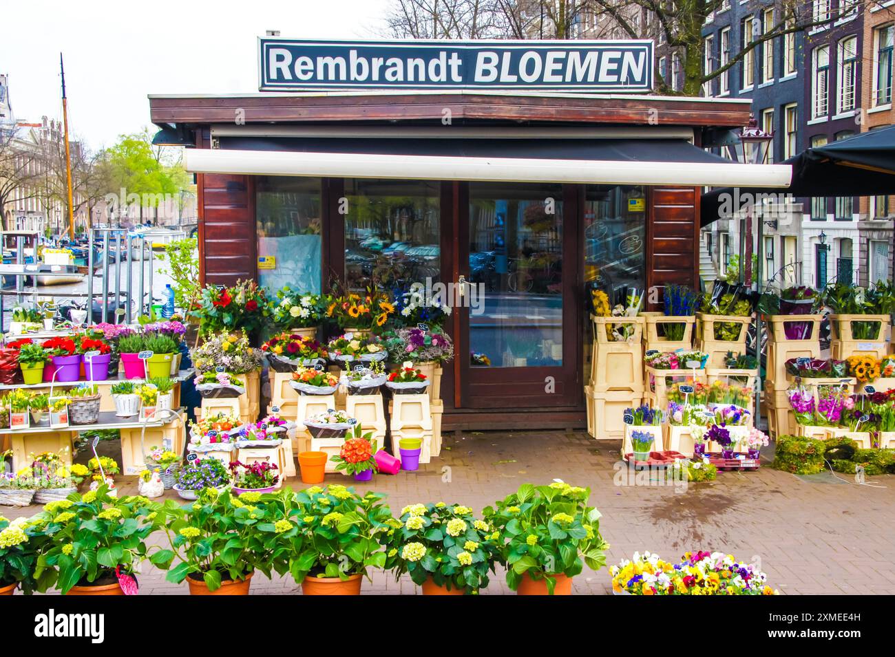 Best time to visit amsterdam hi-res stock photography and images - Alamy