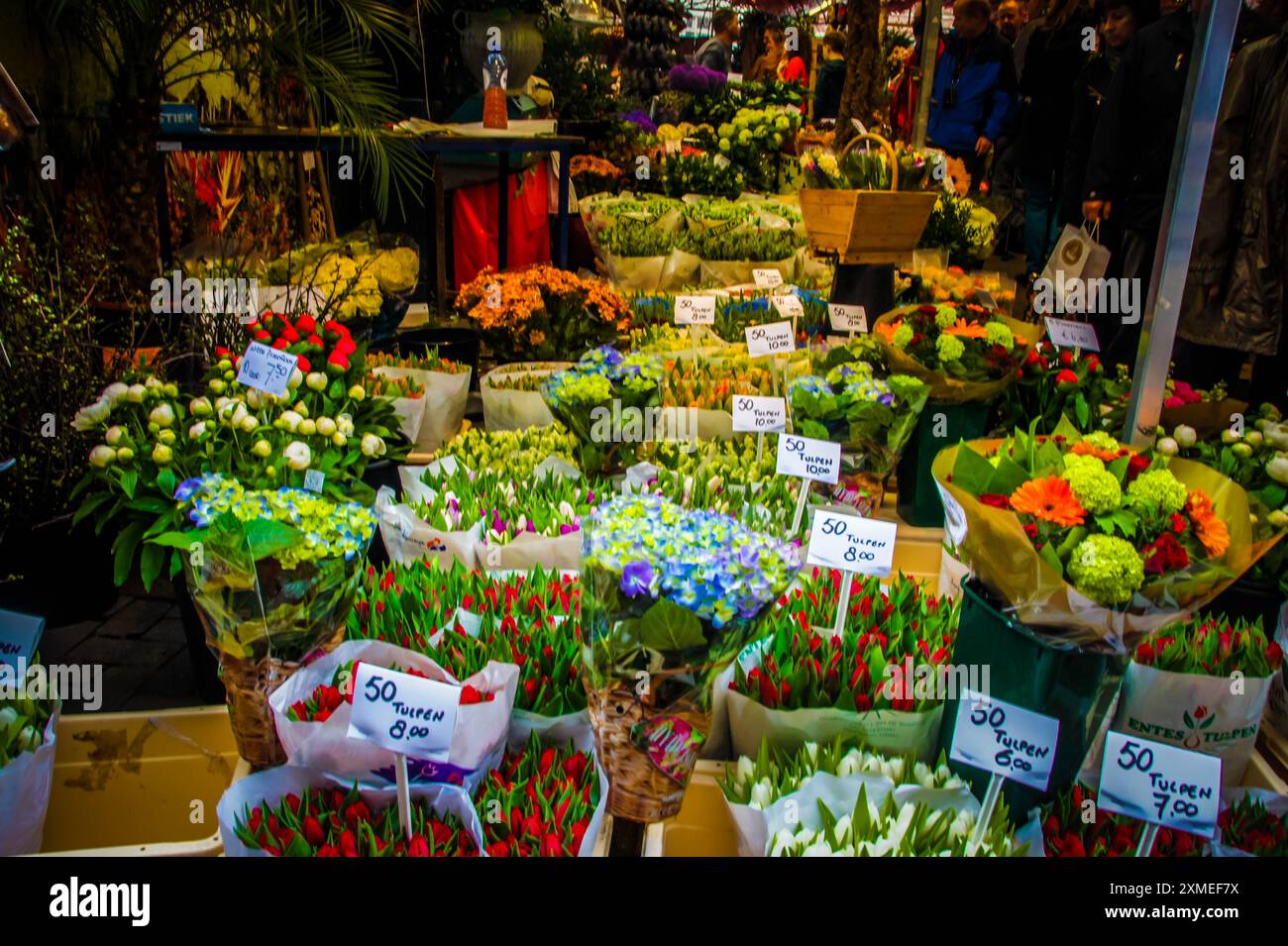 A colorful flower stall bursts with blooms at an Amsterdam market ...