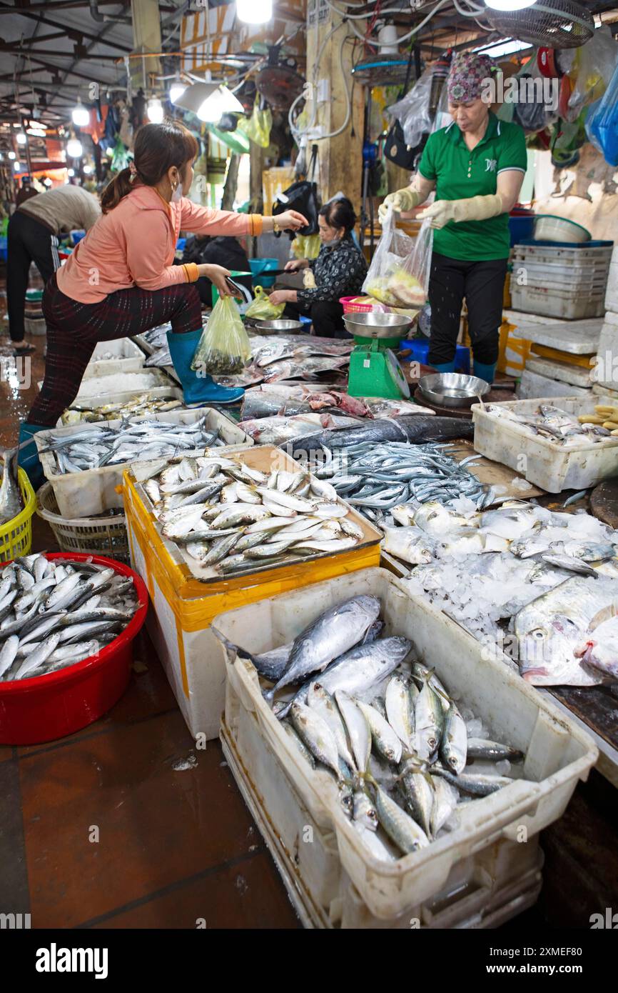 Fresh fish for sale, Cat Ba town market, Cat Ba Island, Halong Bay ...