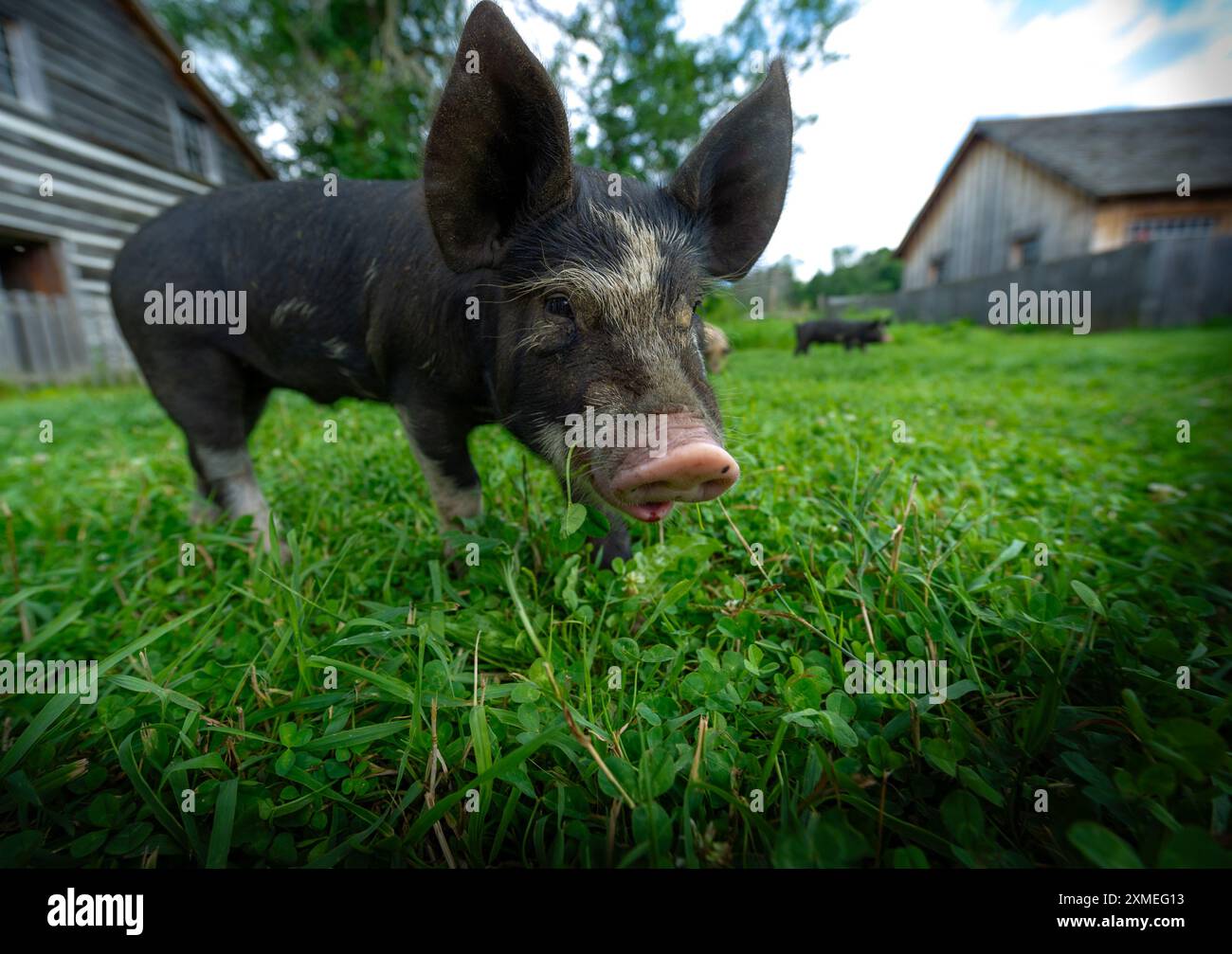Upper Canada Village, Morrisburg, Ontario, Canada Stock Photo - Alamy