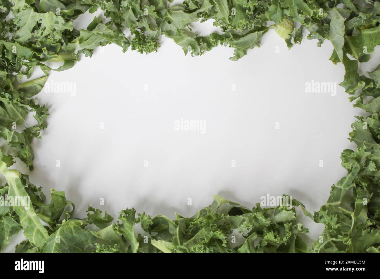 Empty copy space with greeb leaf border Stock Photo - Alamy