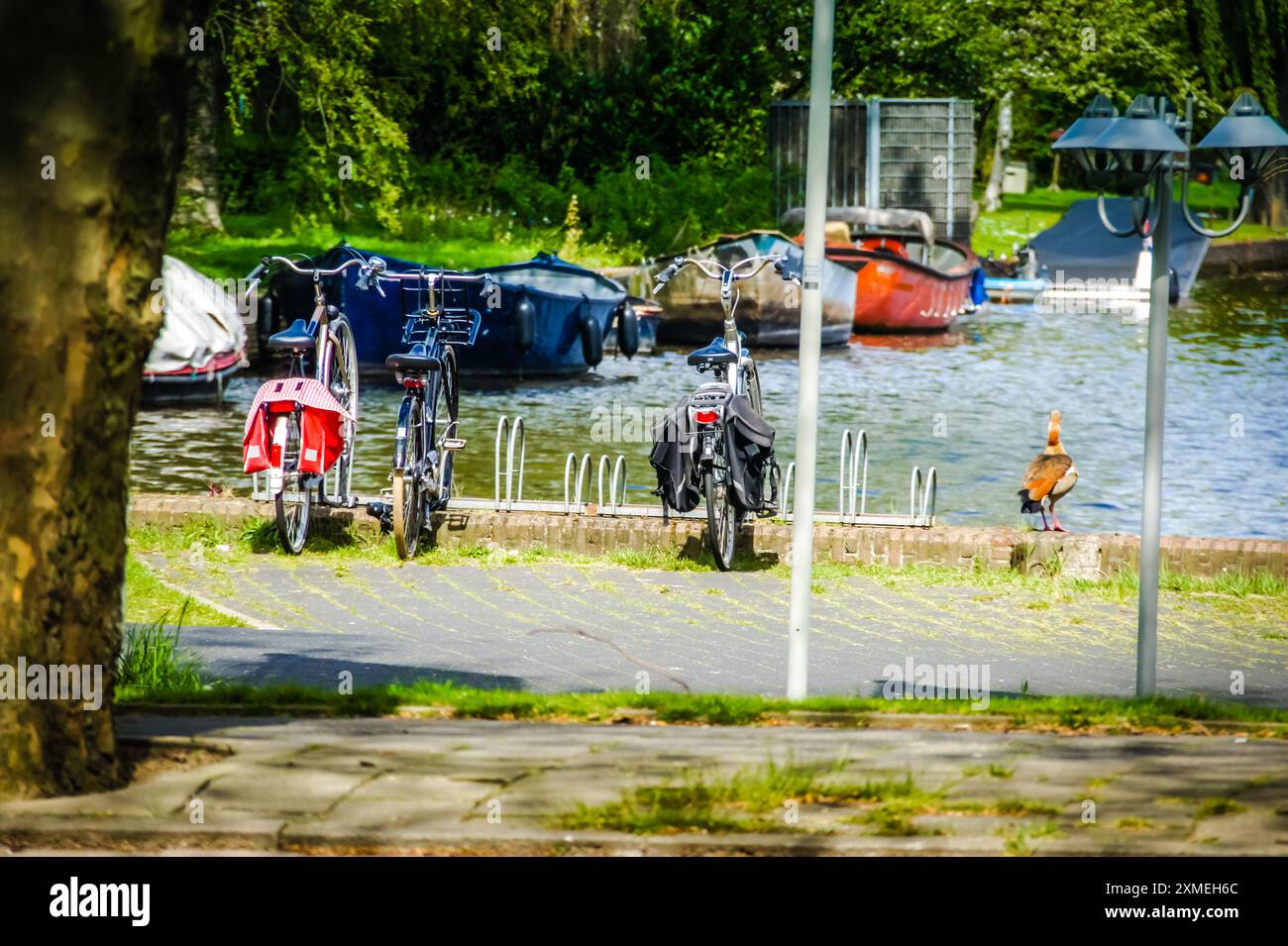 Creative absolutely hi-res stock photography and images - Alamy