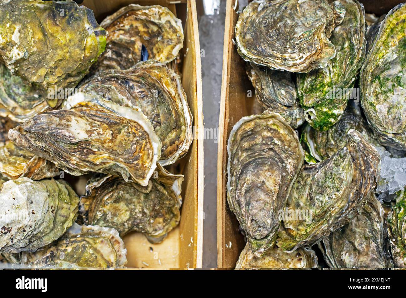 Exotic seafood on counter hi-res stock photography and images - Alamy