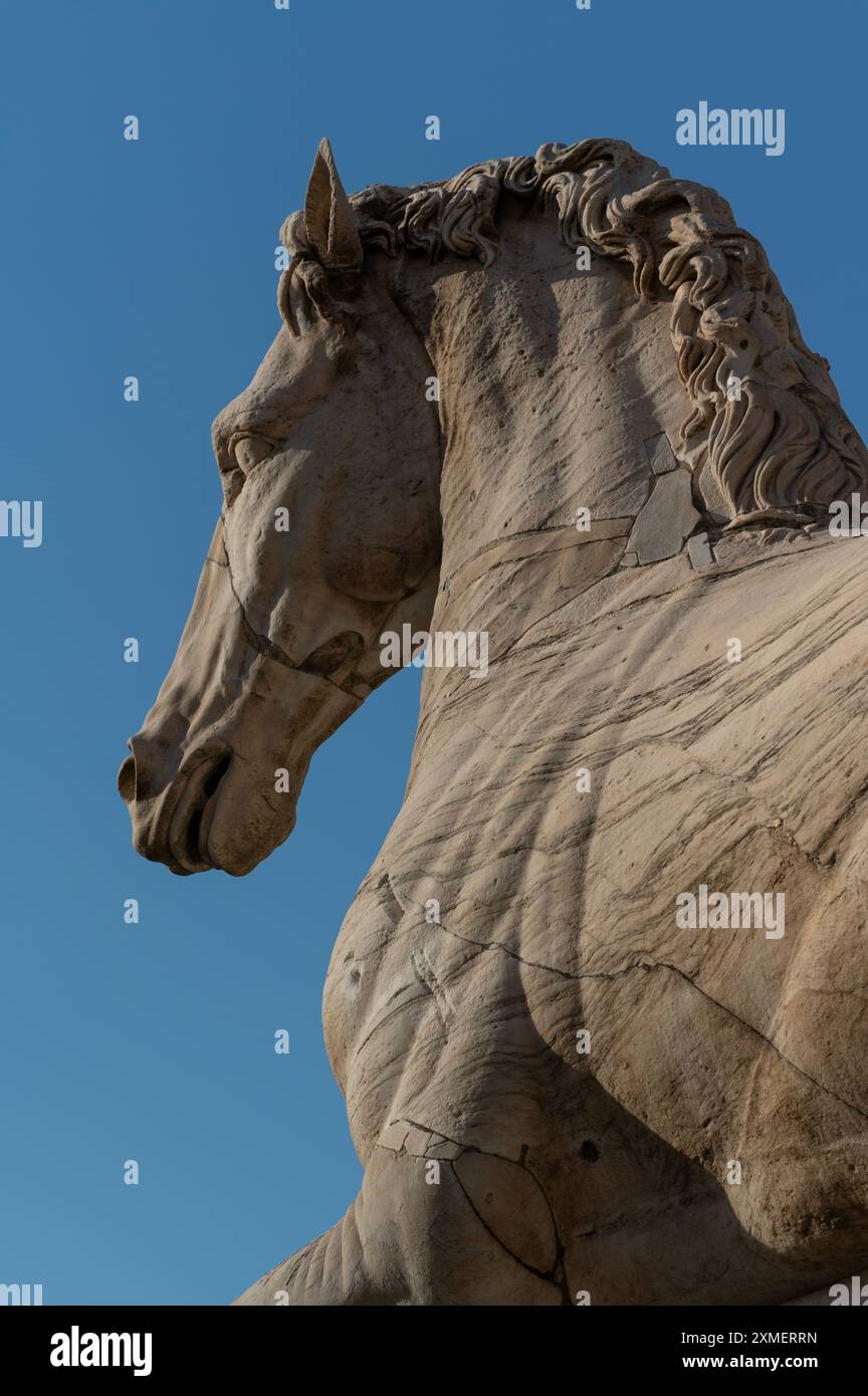 Detail of the horse of the marble statue of Castor and Pollux, Dioscuri ...