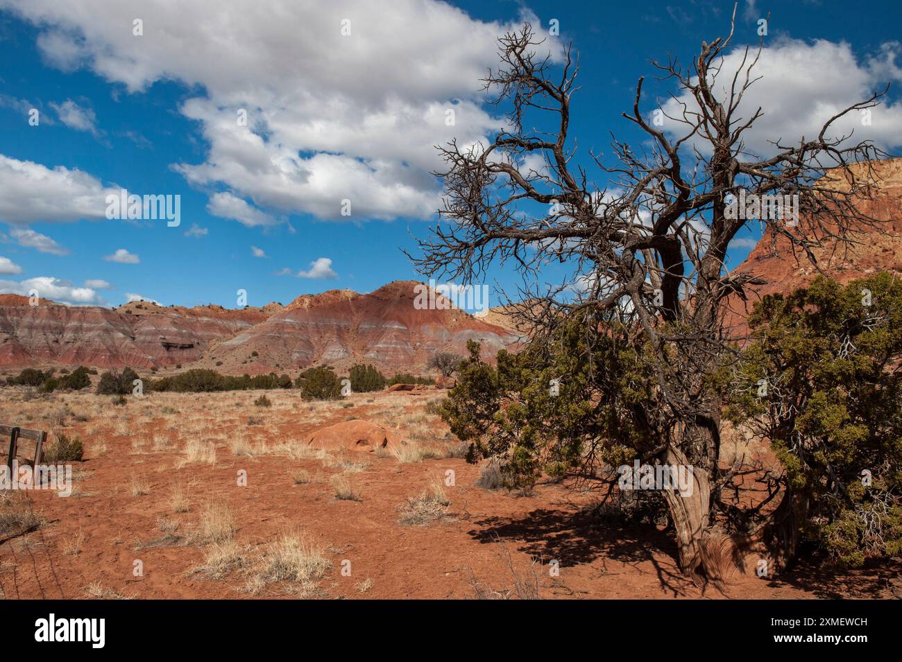 Hills of Chinle Formation rock near the Ghost Ranch, Abiquiu, New ...