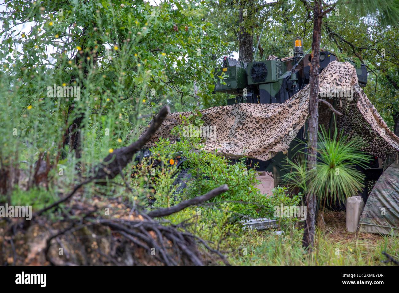 A heavily camouflaged Avenger Air Defense System as part of Charlie ...