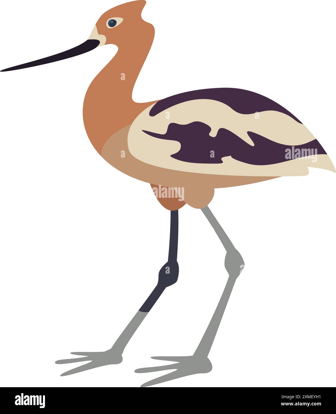 American shore birds Stock Vector Images - Alamy