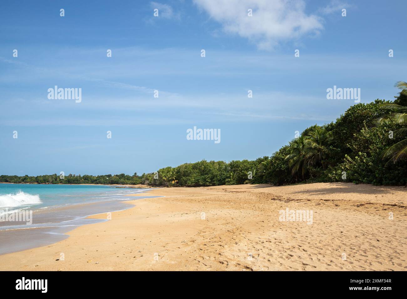 Lonely Wide Sandy Beach With Turquoise Blue Sea. Tropical Plants In A ...