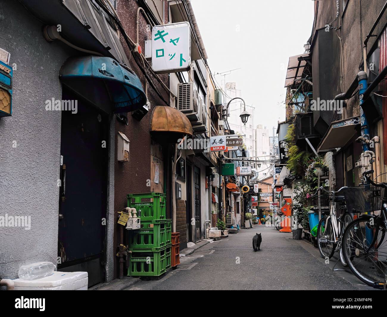Tokyo japan march 26 japanese hi-res stock photography and images - Alamy