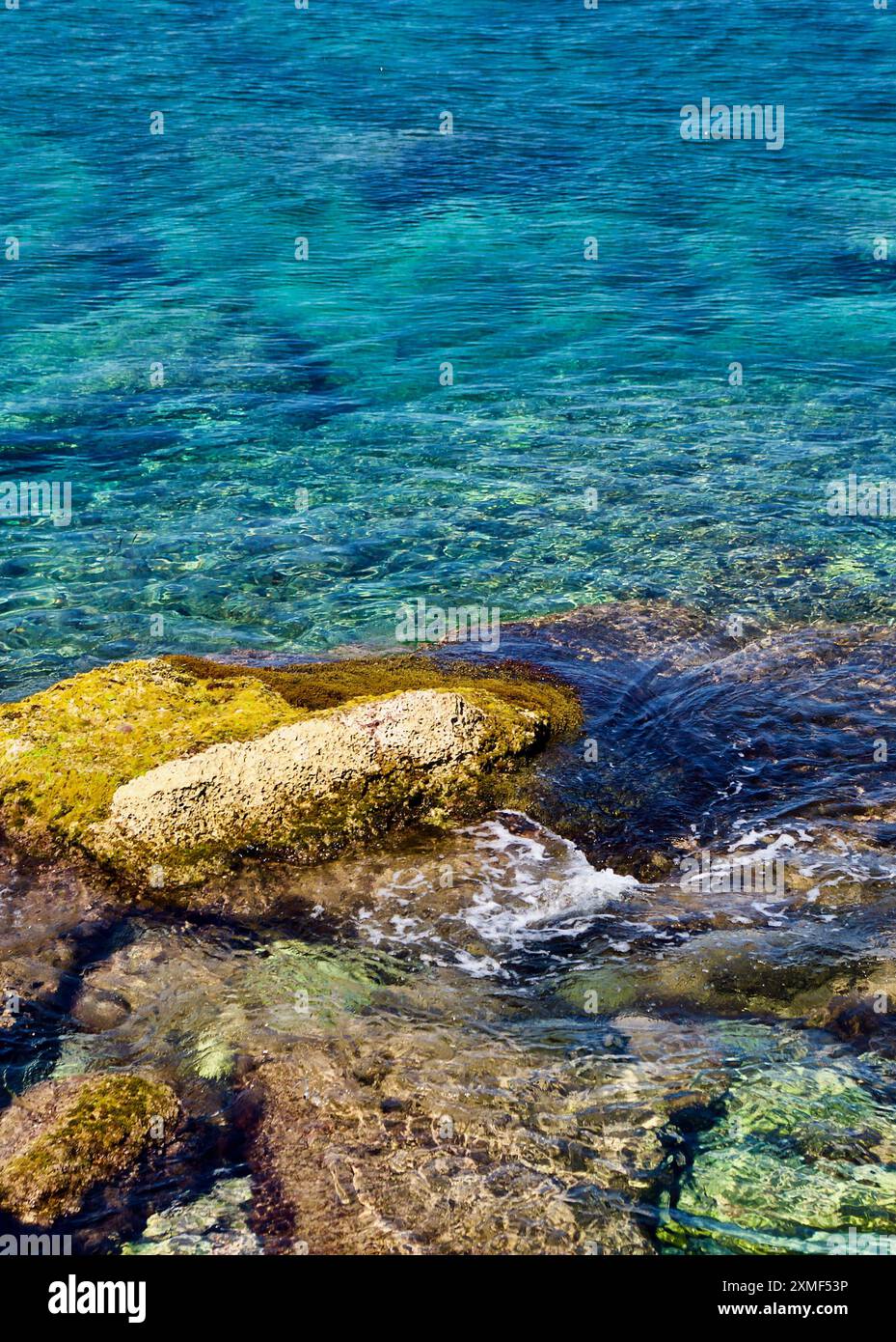 Coastal landscape with stone beach and salt water with algae in the ...