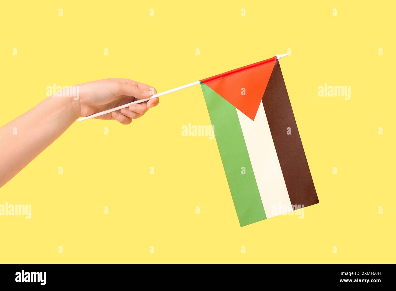 Female hand with flag of Palestine on yellow background Stock Photo - Alamy