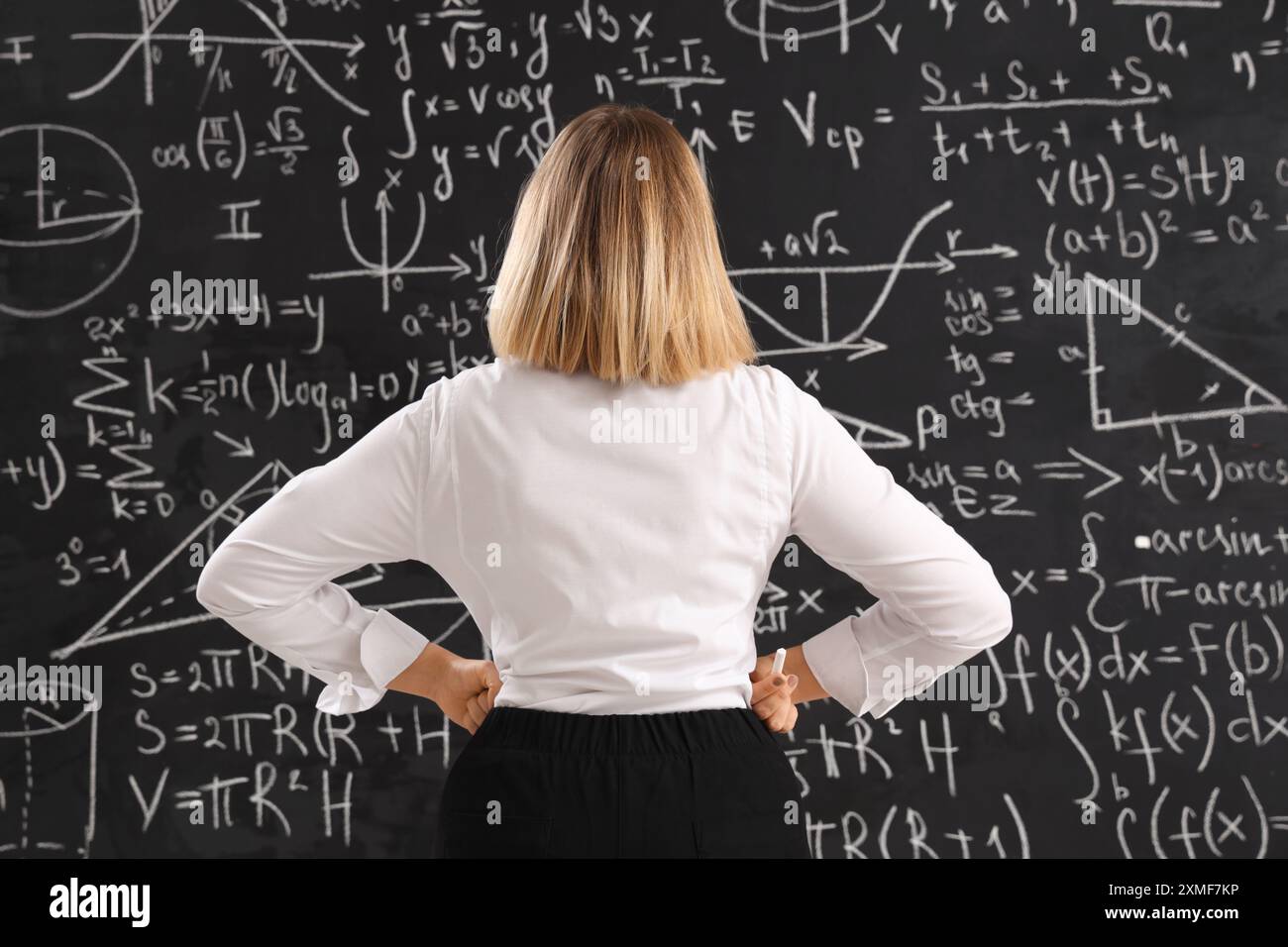 Mature female math teacher near blackboard in classroom, back view ...
