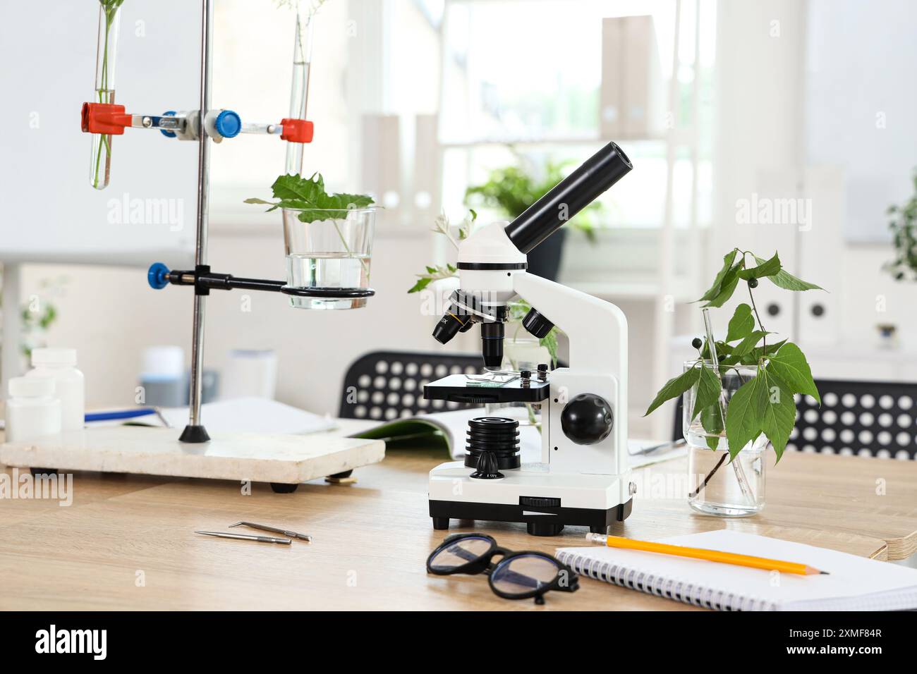 Microscope kid research nature hi-res stock photography and images - Alamy