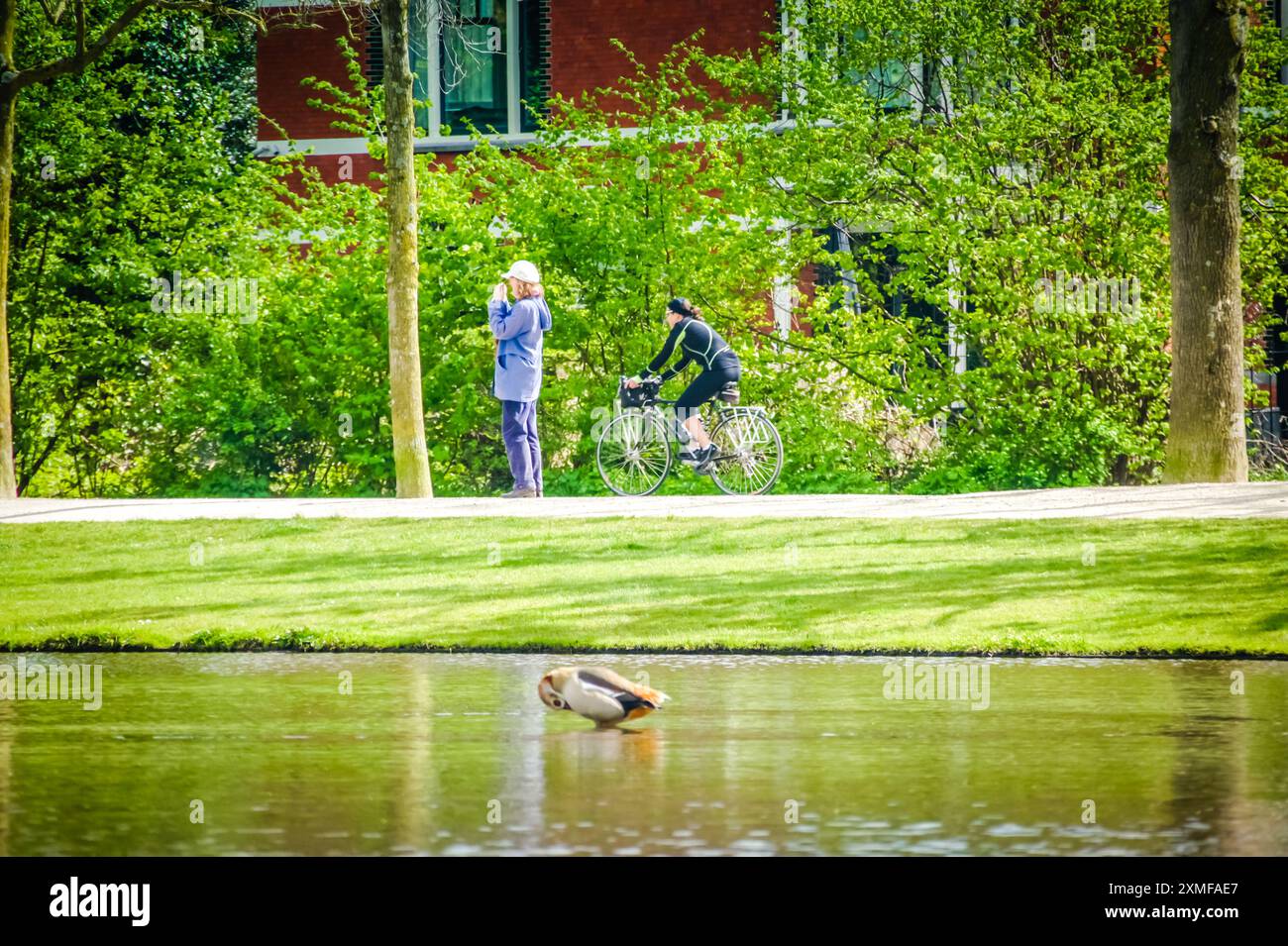 Absolutely! Here's your revised description Stock Photo - Alamy