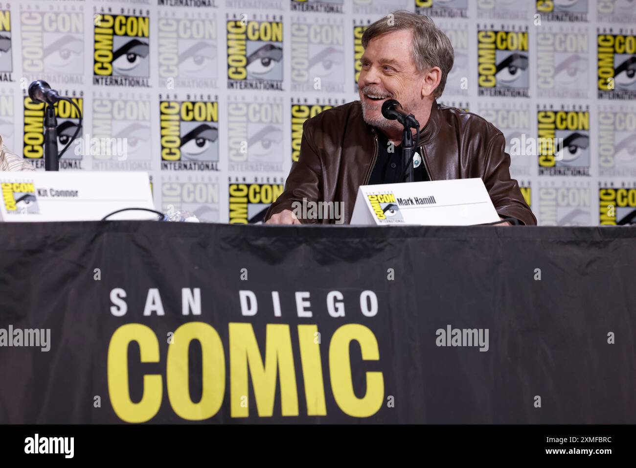 Mark Hamill attends a panel for "The Wild Robot" during Comic-Con ...