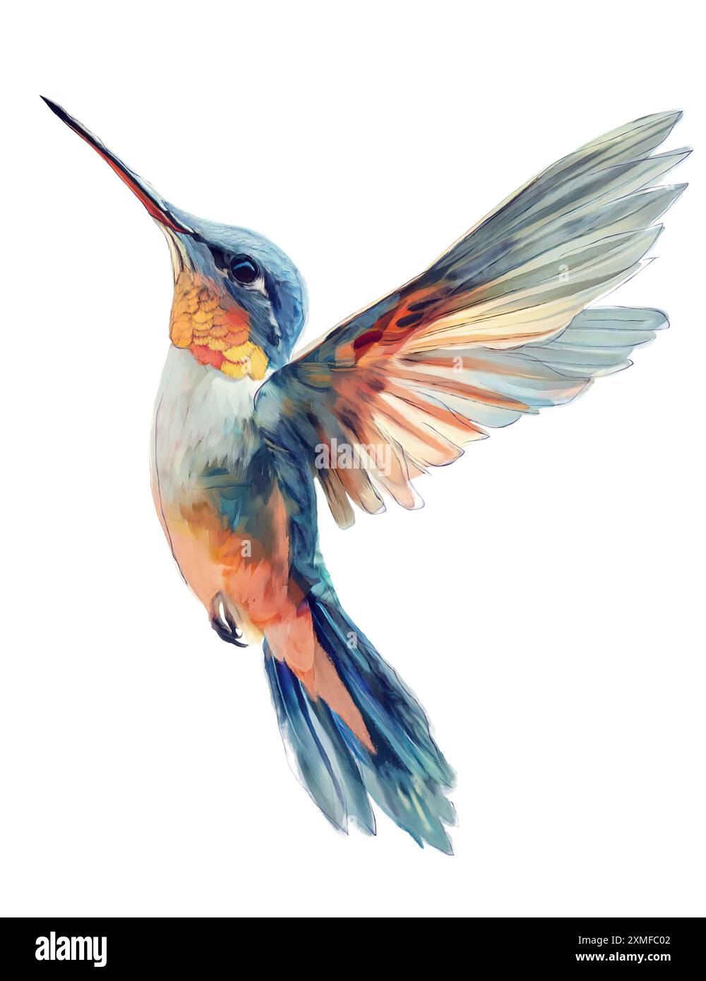 Watercolor Painting of Colorful Hummingbird, isolated on White ...