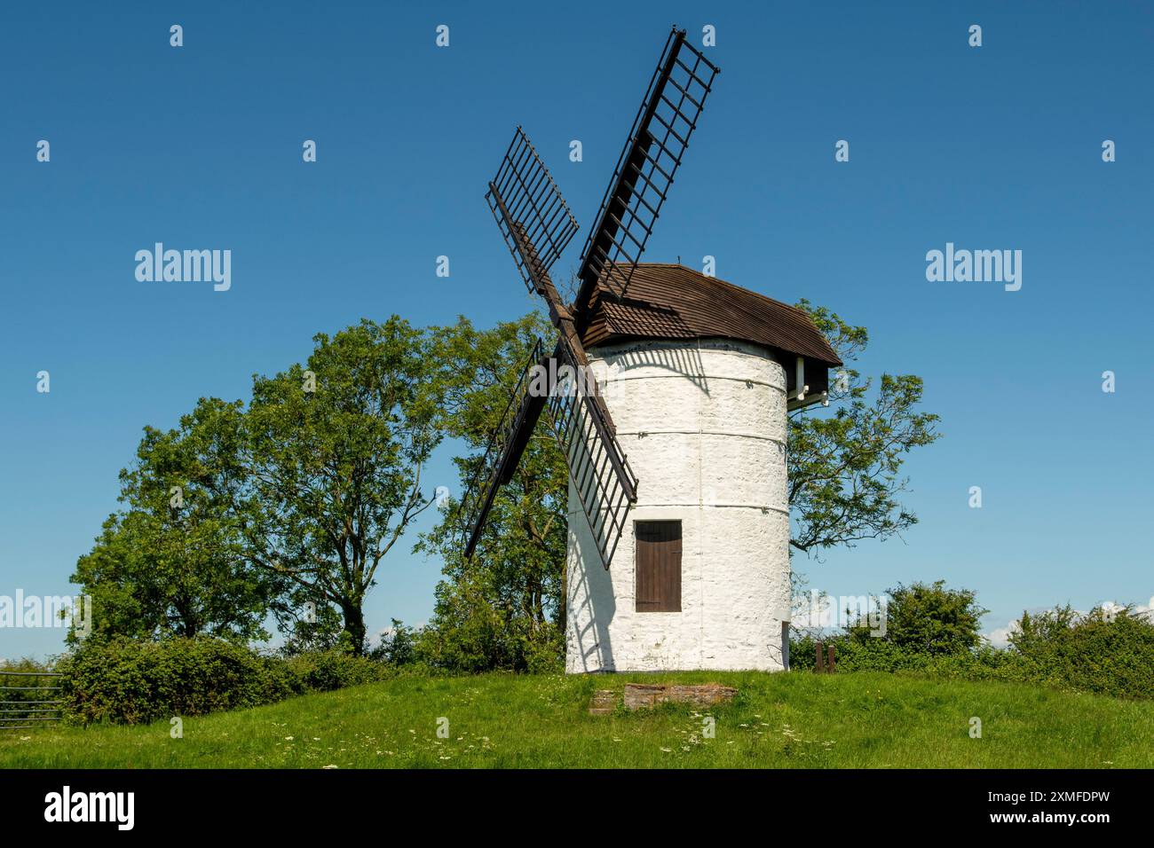 Ashton white hi-res stock photography and images - Alamy