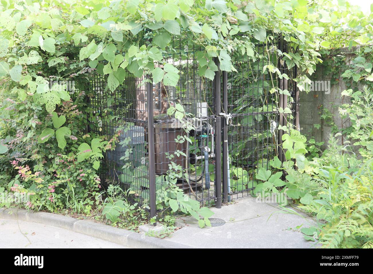 July 28, 2024, Shinjuku Ward, Tokyo, Japan, Drainage facilities in a ...