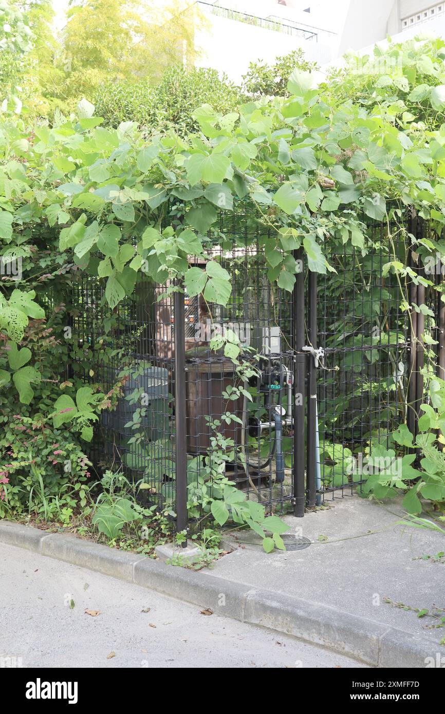 July 28, 2024, Shinjuku Ward, Tokyo, Japan, Drainage facilities in a ...