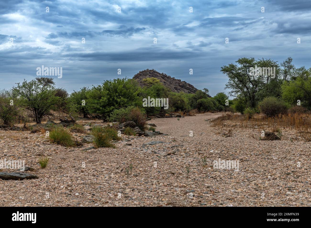 Dry riverbed of the Dobra River north of Windhoek, Namibia Stock Photo ...