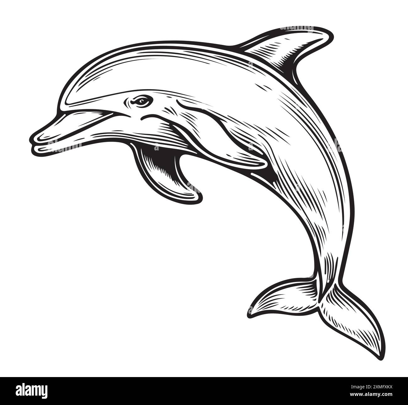 Dolphin. A graphic, black-and-white sketch-style image of a dolphin on ...