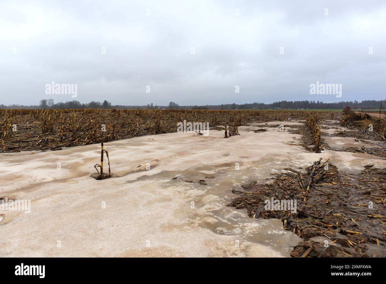 Continuous river landscape hi-res stock photography and images - Alamy