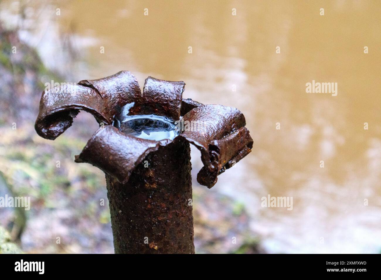 an old metal tube with a folded end in the shape of a flower Stock ...