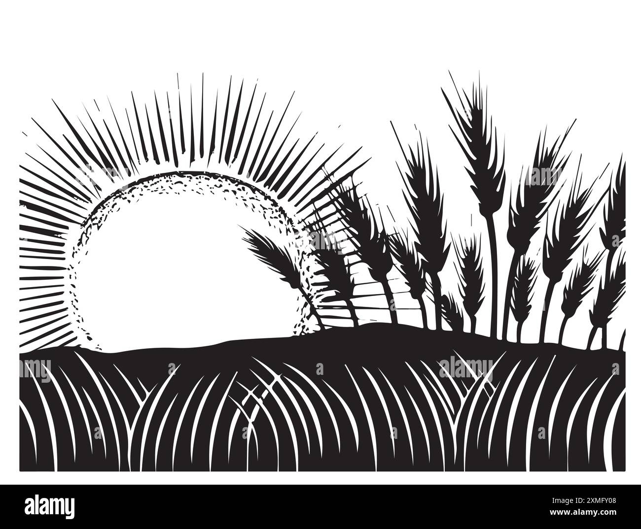 Wheat field panorama Stock Vector Images - Alamy