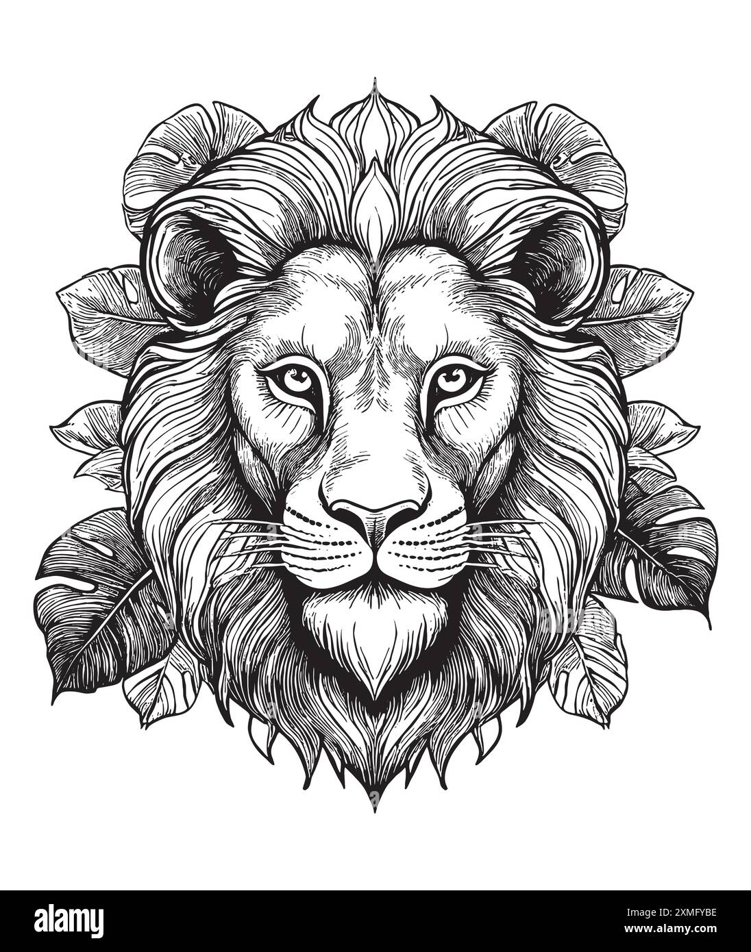 Lion vector drawing hi-res stock photography and images - Alamy