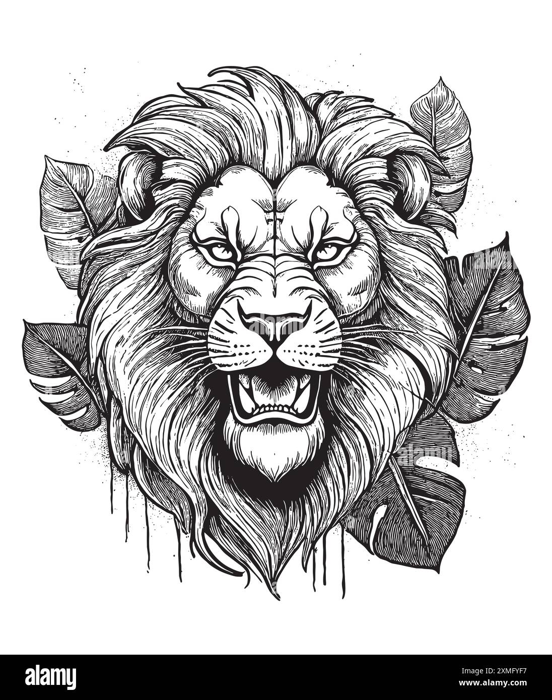 Lion vector drawing hi-res stock photography and images - Alamy