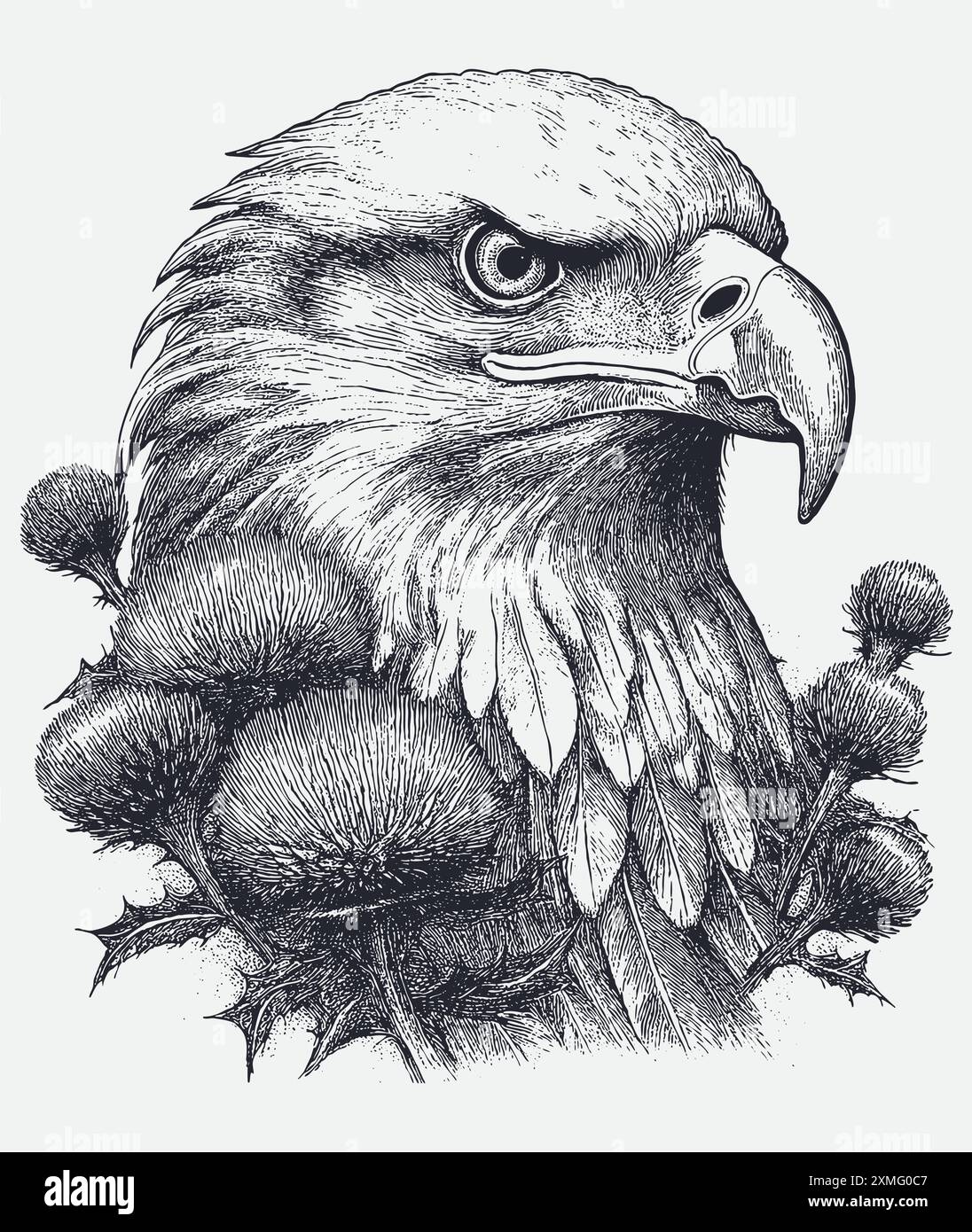 Eagle line drawing Stock Vector Images - Alamy