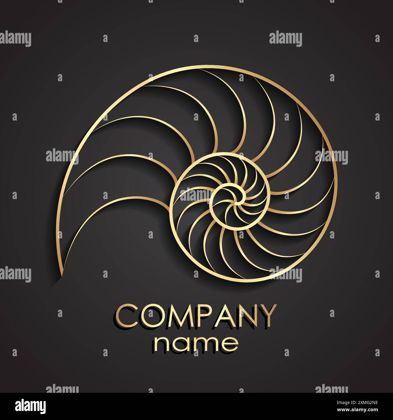 Nautilus shell golden ratio hi-res stock photography and images - Alamy