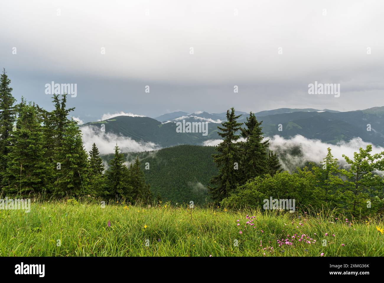 Partizanska lupca hi-res stock photography and images - Alamy