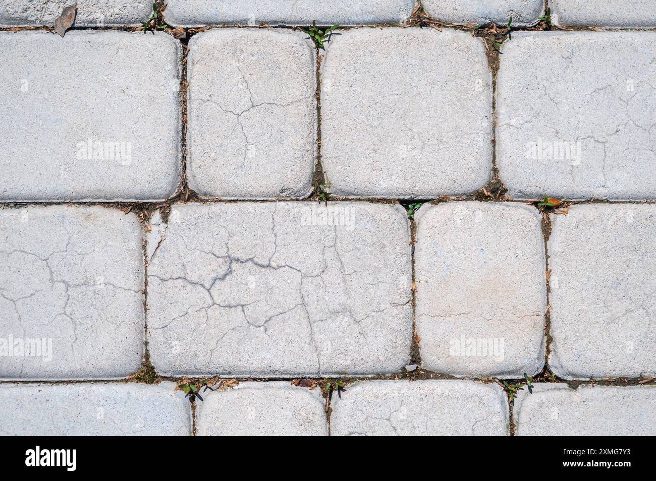 texture of white stone paving slabs on the sidewalk close-up Stock ...