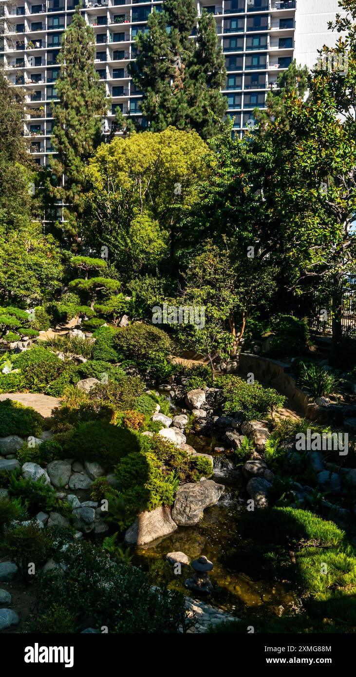 California urban garden hi-res stock photography and images - Alamy