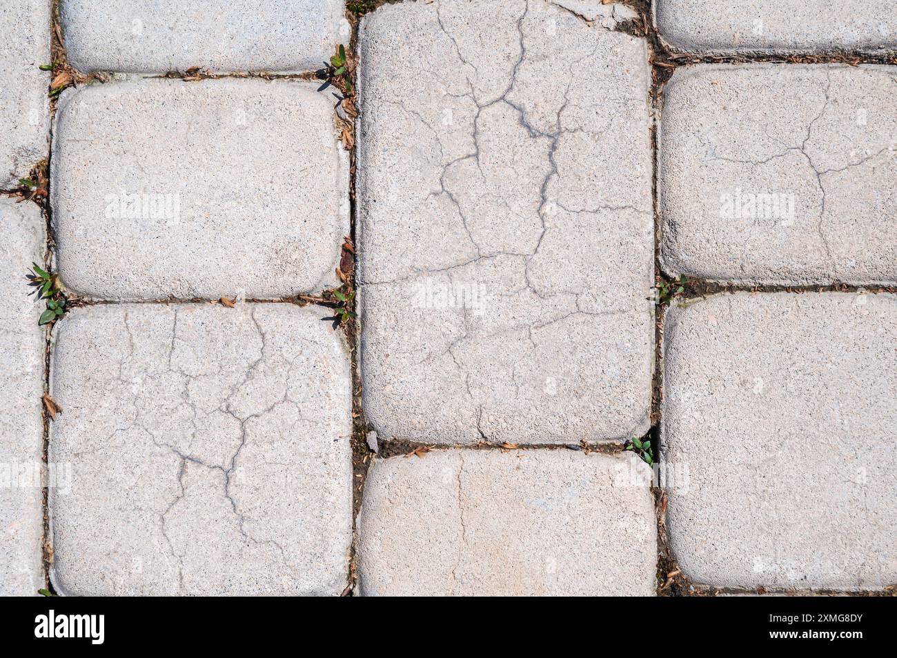 texture of white stone paving slabs on the sidewalk close-up Stock ...