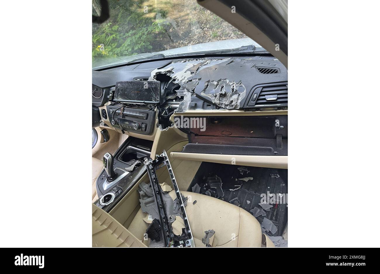 Non Exclusive: A bear that broke into a car in Winsted, CT. Trapped ...