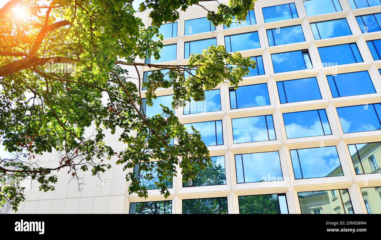 Eco architecture. Green tree and glass office building. The harmony of ...