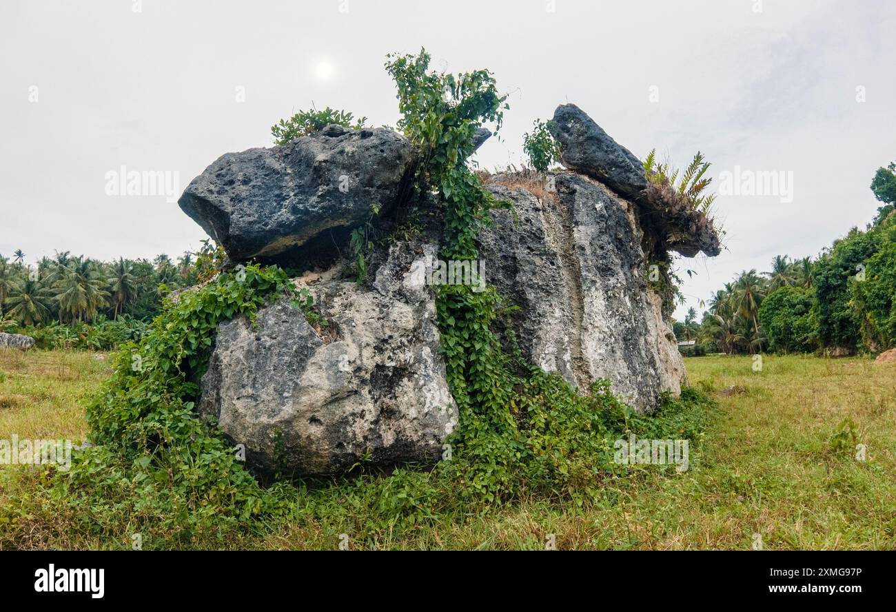 Rock formation vegetation hi-res stock photography and images - Alamy