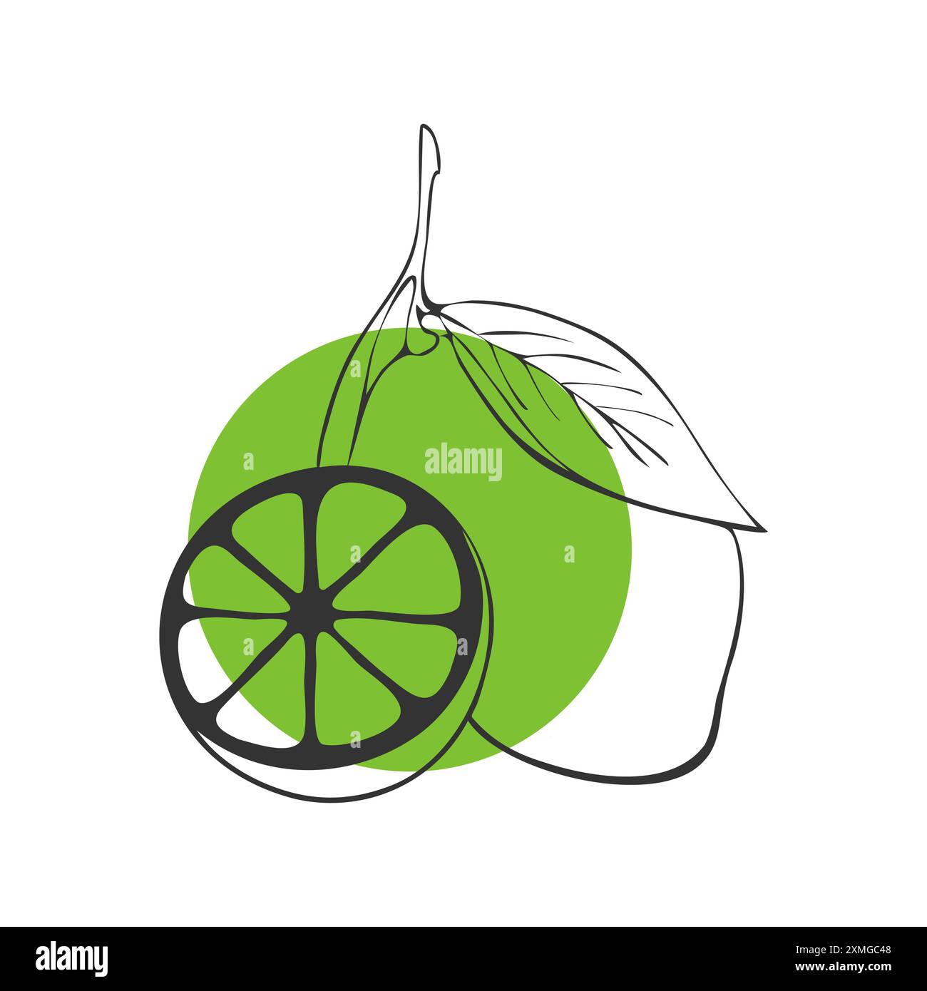 Lime fruit outline on green round background, contour whole fruit and ...