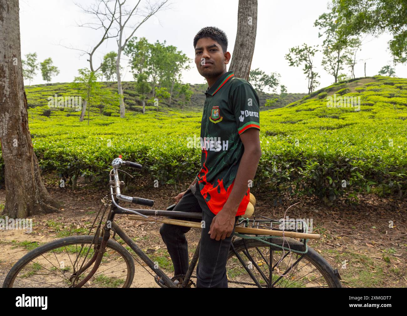 Bangladeshi man on his bicycle in front of tea plantations, Sylhet Division, Kamalganj ...