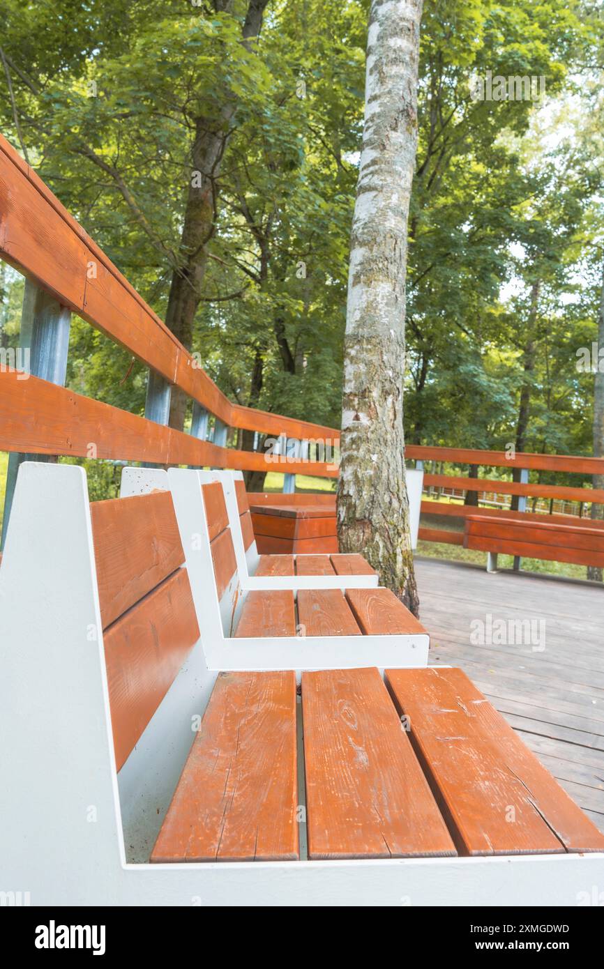 Wooden benches along a boardwalk in a forest park, surrounded by green ...