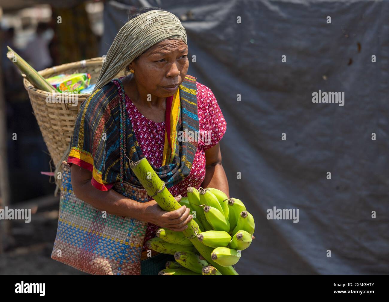 Chakma tribe woman carrying bananas, Chittagong Division, Rangamati ...