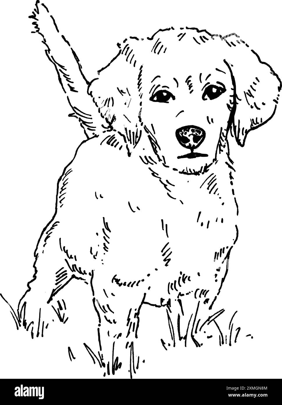 Minimalistic dog shape hi-res stock photography and images - Alamy